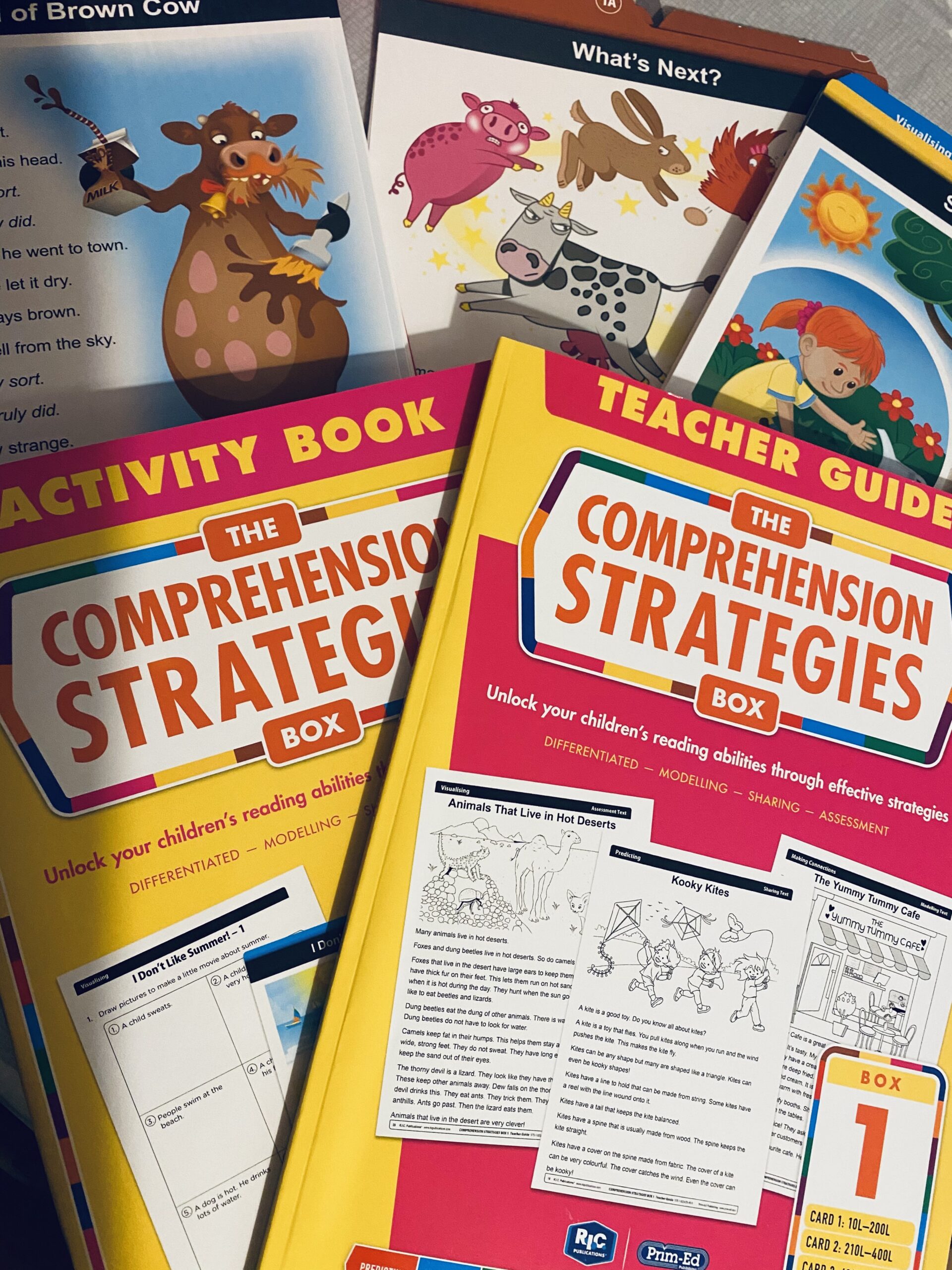 The Comprehension Strategies Box - Múinteoir Valerie