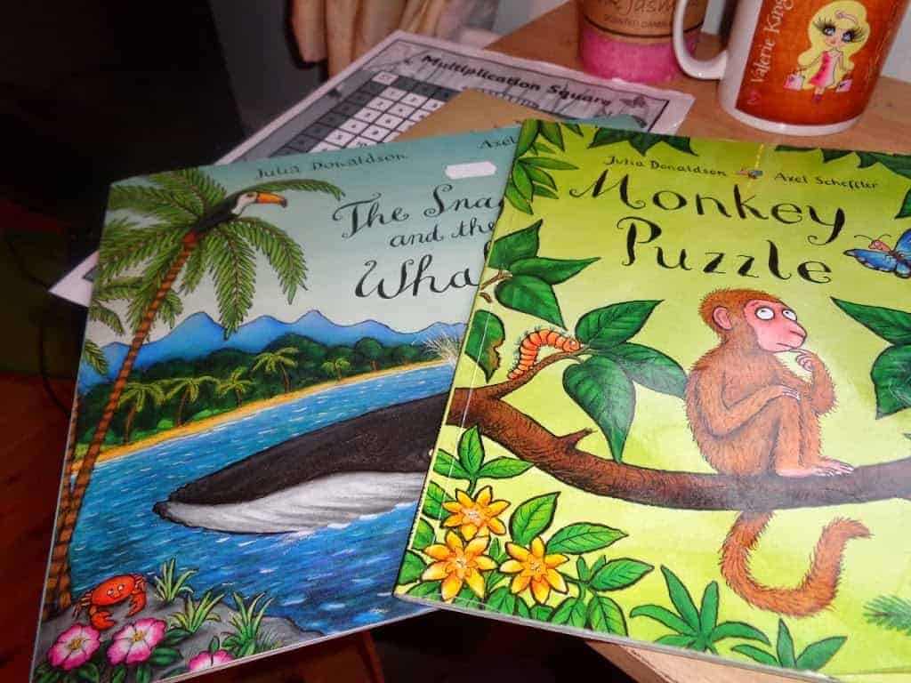 Easy Prediction Lesson for Junior Classes - Múinteoir Valerie